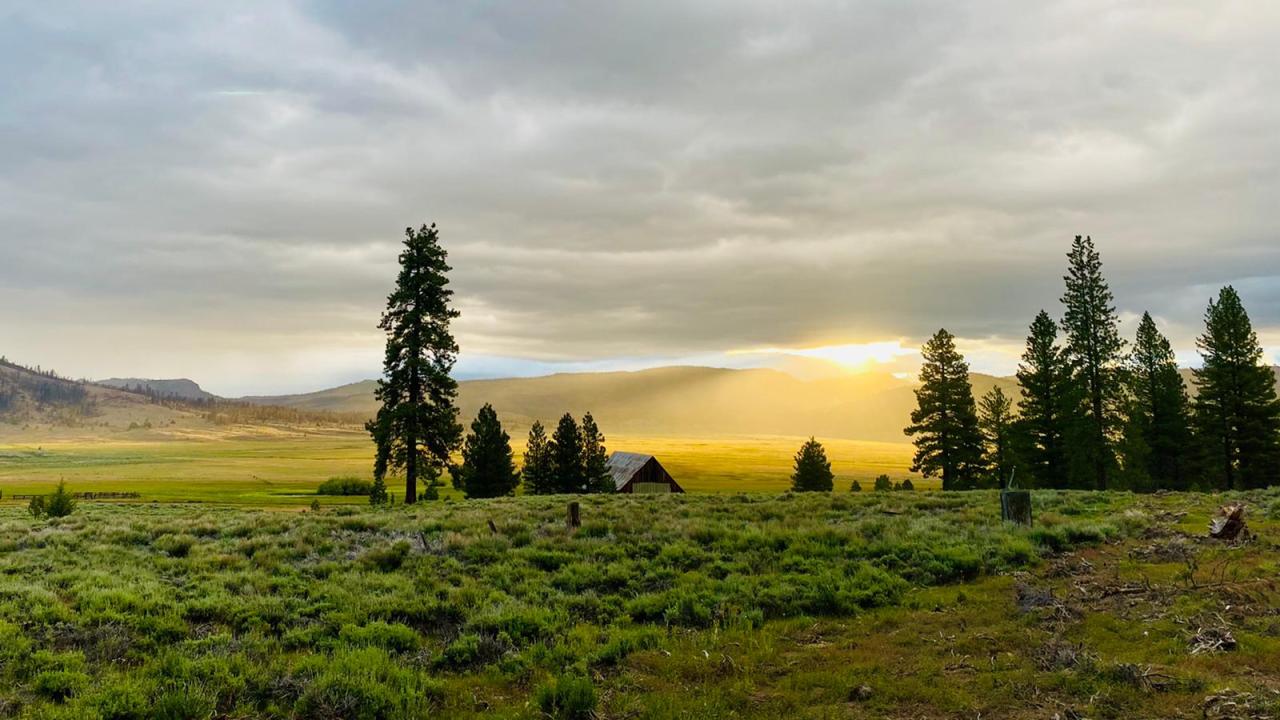 Clover Valley Ranch | School of Veterinary Medicine